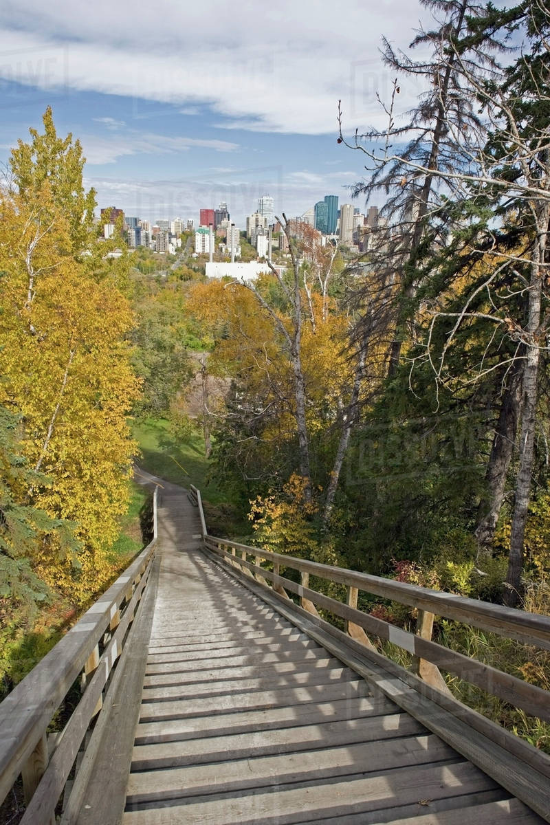 Set of wooden steps with railing lined with trees in autumn and a city ...