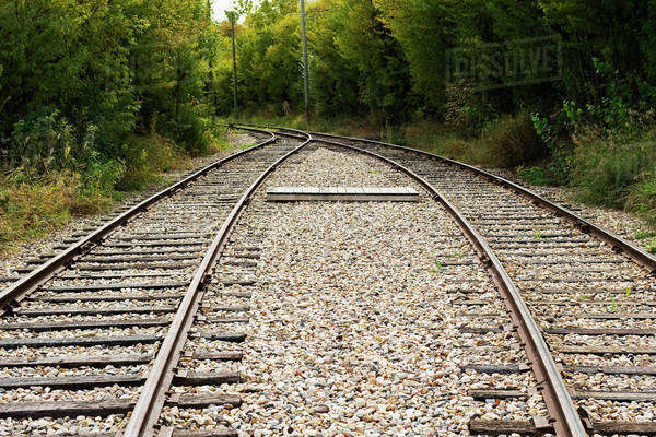 Two sets of train tracks join together lined with green trees;Edmonton ...