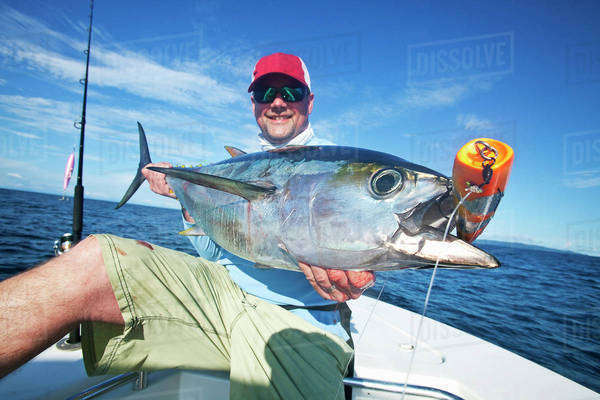 Man holds a fresh caught yellowfin tuna; panama - Royalty-free Stock ...