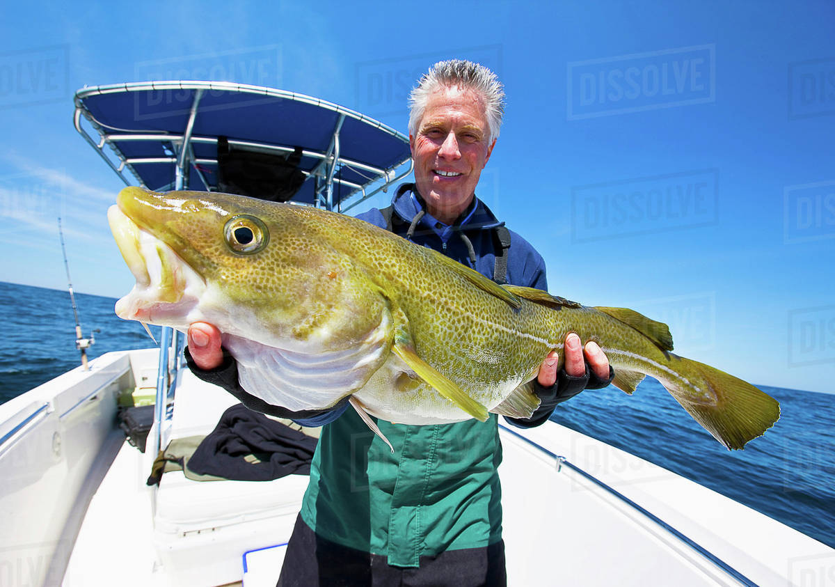 A man holding a fresh caught cod fish;Boston massachusetts united ...