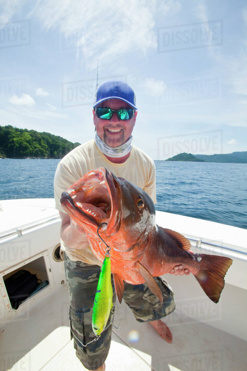Man holds cubera snapper (lutjanus cyanopterus); panama - Royalty-free ...