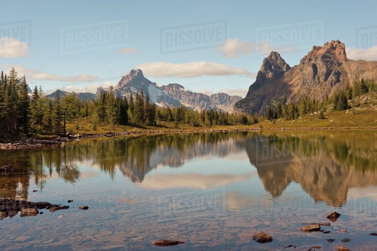 View Of Lake On Opabin Plateau Near Lake O'hara In Yoho National Park ...
