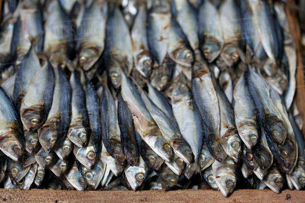 Dried Whole Fish At Market; Bais, Negros Island, Philippines - Royalty ...