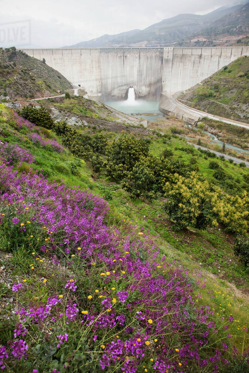 Water Dam And Wildflowers On A Hill Near Granada; Andalusia, Spain ...