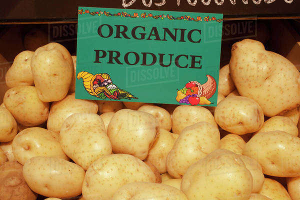 Potatoes With A Sign Labeled Organic Produce; Waterloo, Quebec, Canada ...