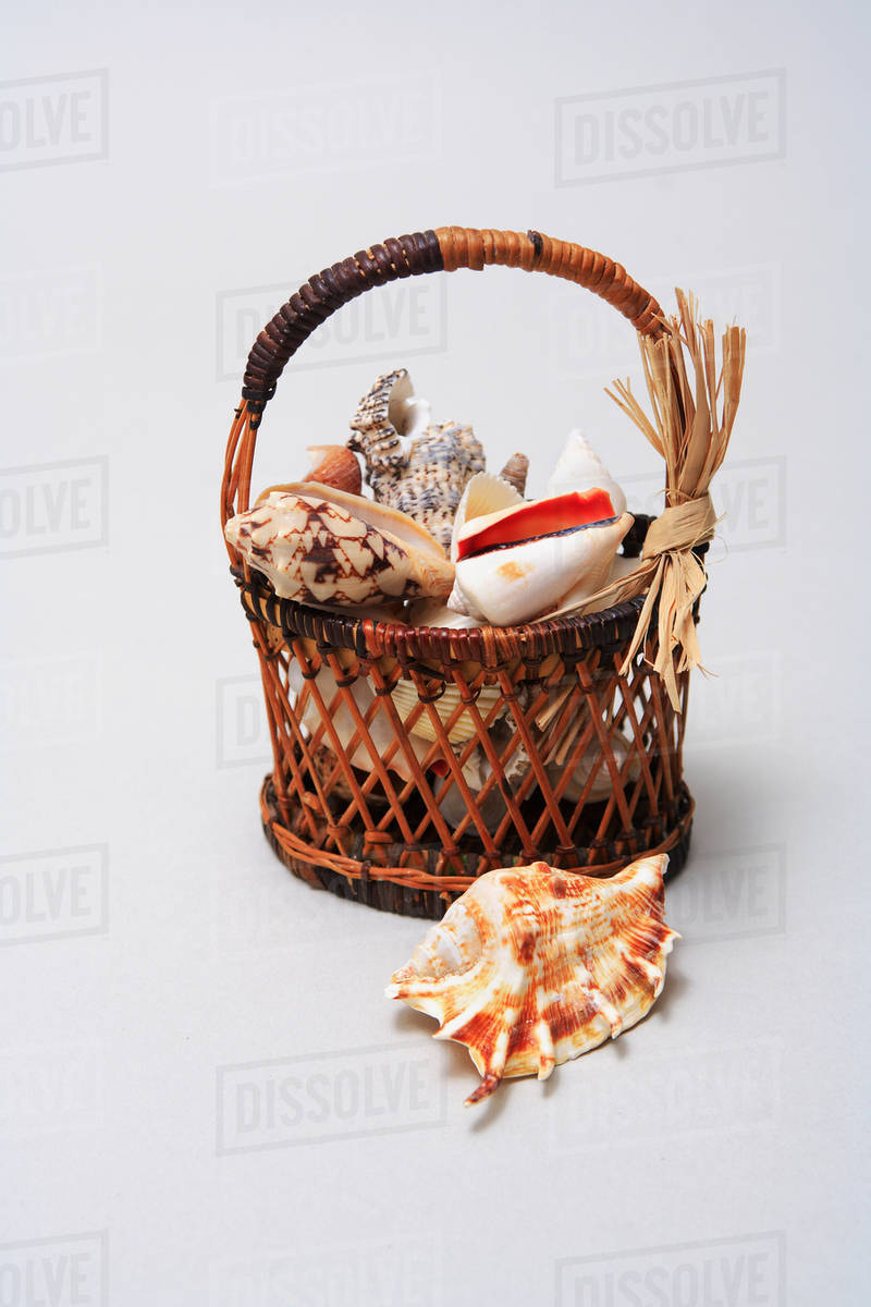 Studio Shot Of A Basket Of Shells - Royalty-free Stock Photo | Dissolve