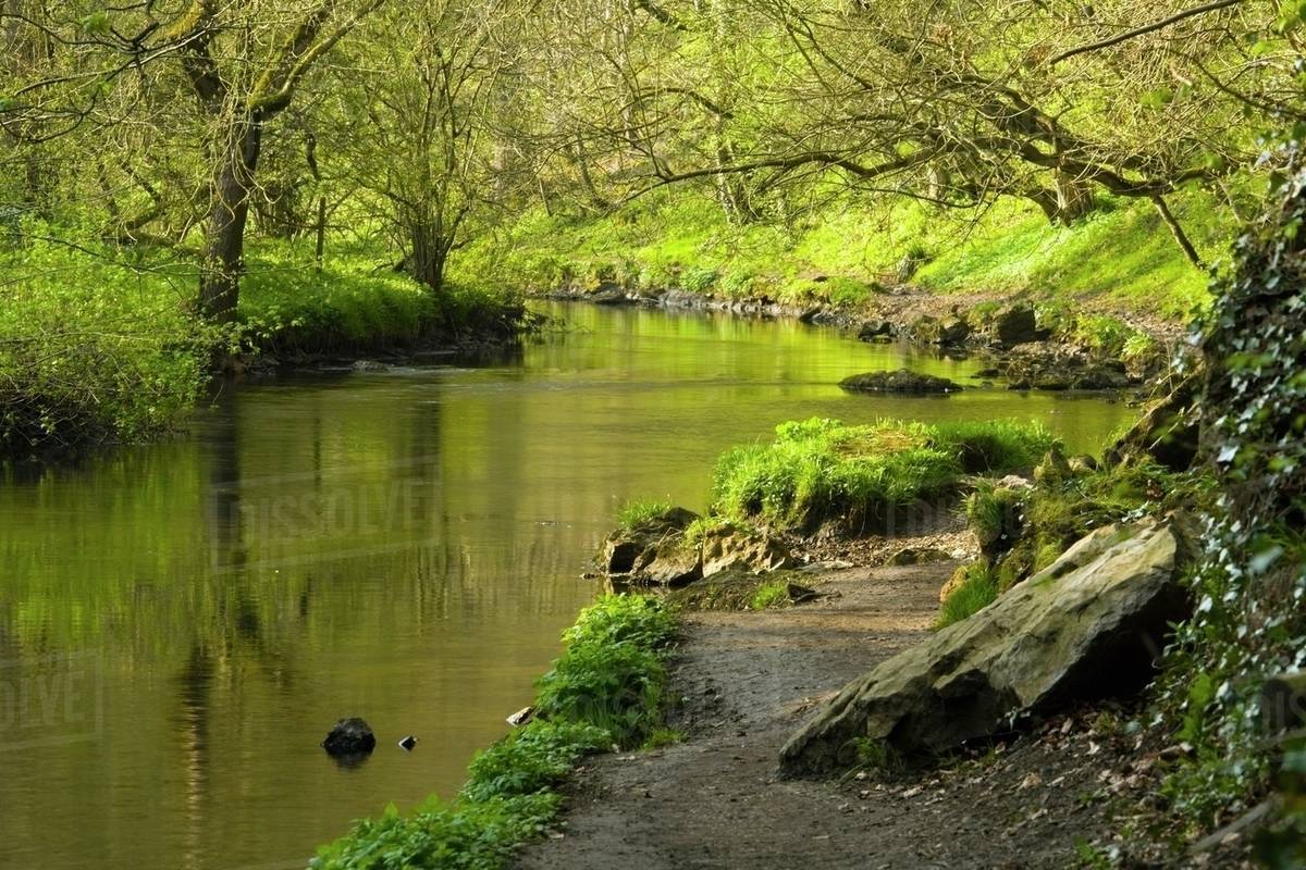 Cressbrook, Derbyshire, England; River Wye In Peak District National ...
