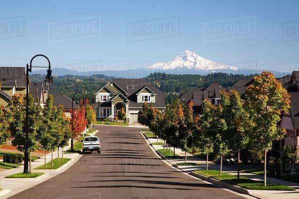 Oregon, United States Of America; Autumn Colors Along A Street With New ...