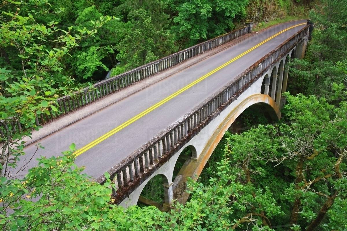 A Road Going Over A Bridge With A Dense Forest Area Below - Royalty ...