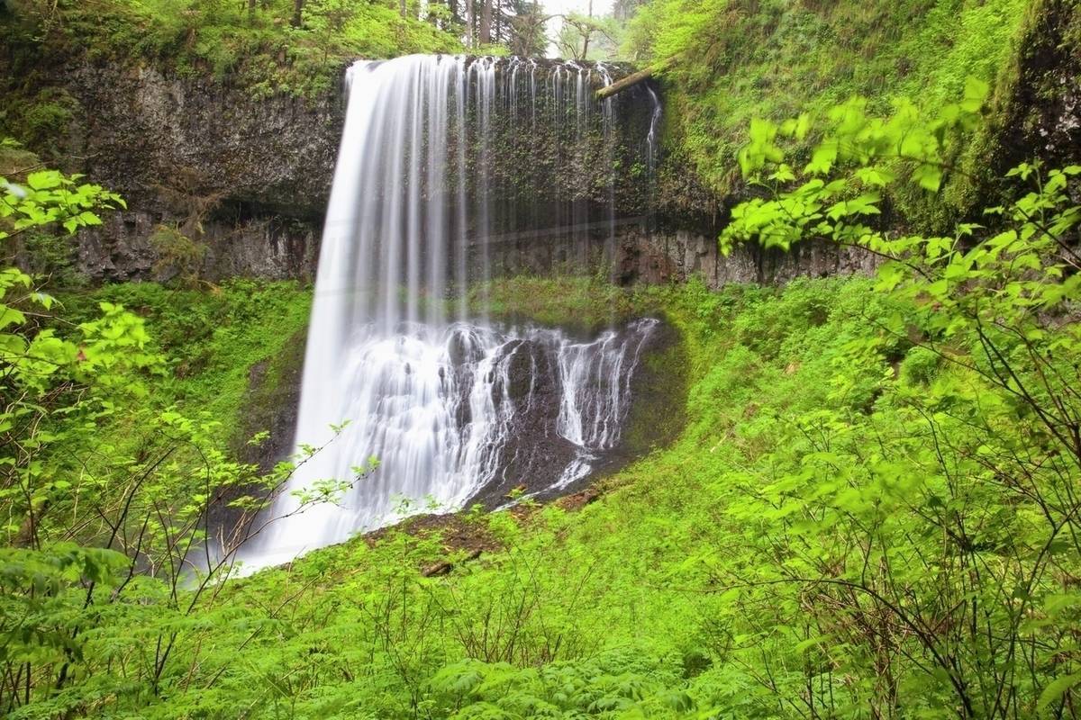 Oregon, United States Of America; North Middle Falls In Silver Falls ...