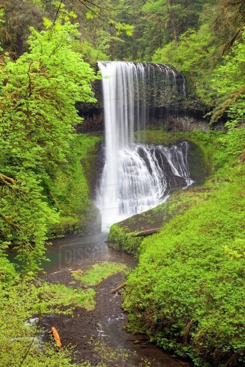 Oregon, United States Of America; North Middle Falls In Silver Falls ...