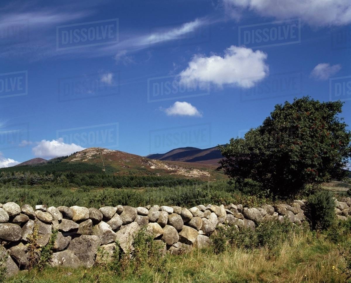 Stone Wall In Front Of Mountains; Ireland - Stock Photo - Dissolve