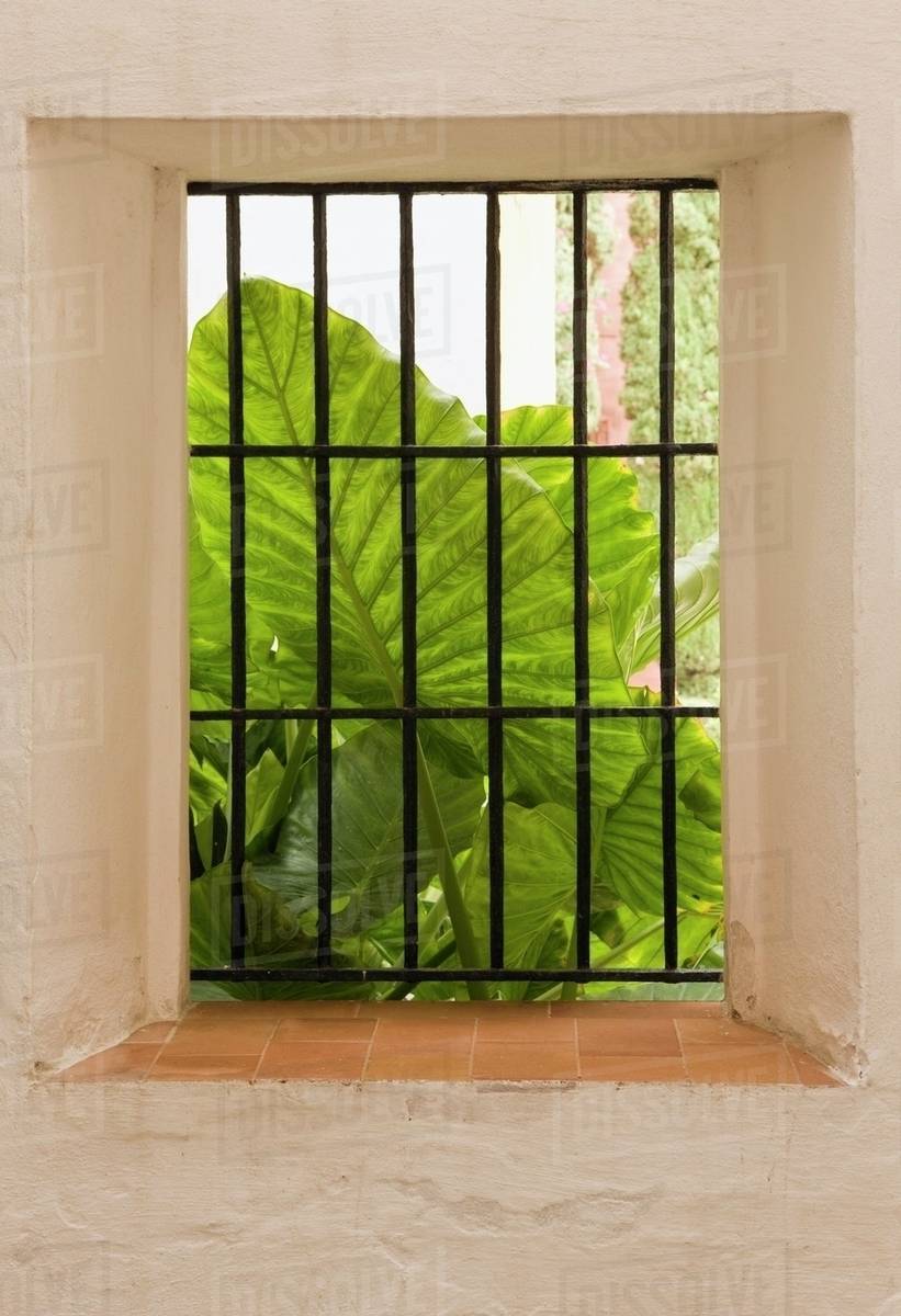Alcázar Of Seville, Seville Province, Spain; Huge Green Leaf Seen ...