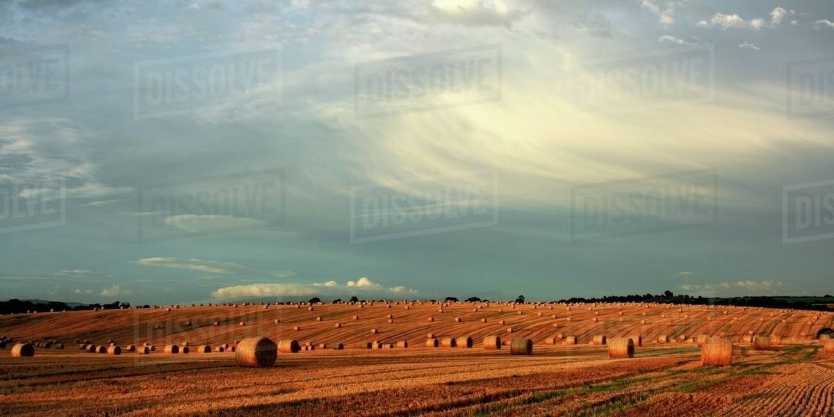 County Cork, Ireland, Hay Bales After The Harvest Near Mallow - Royalty ...