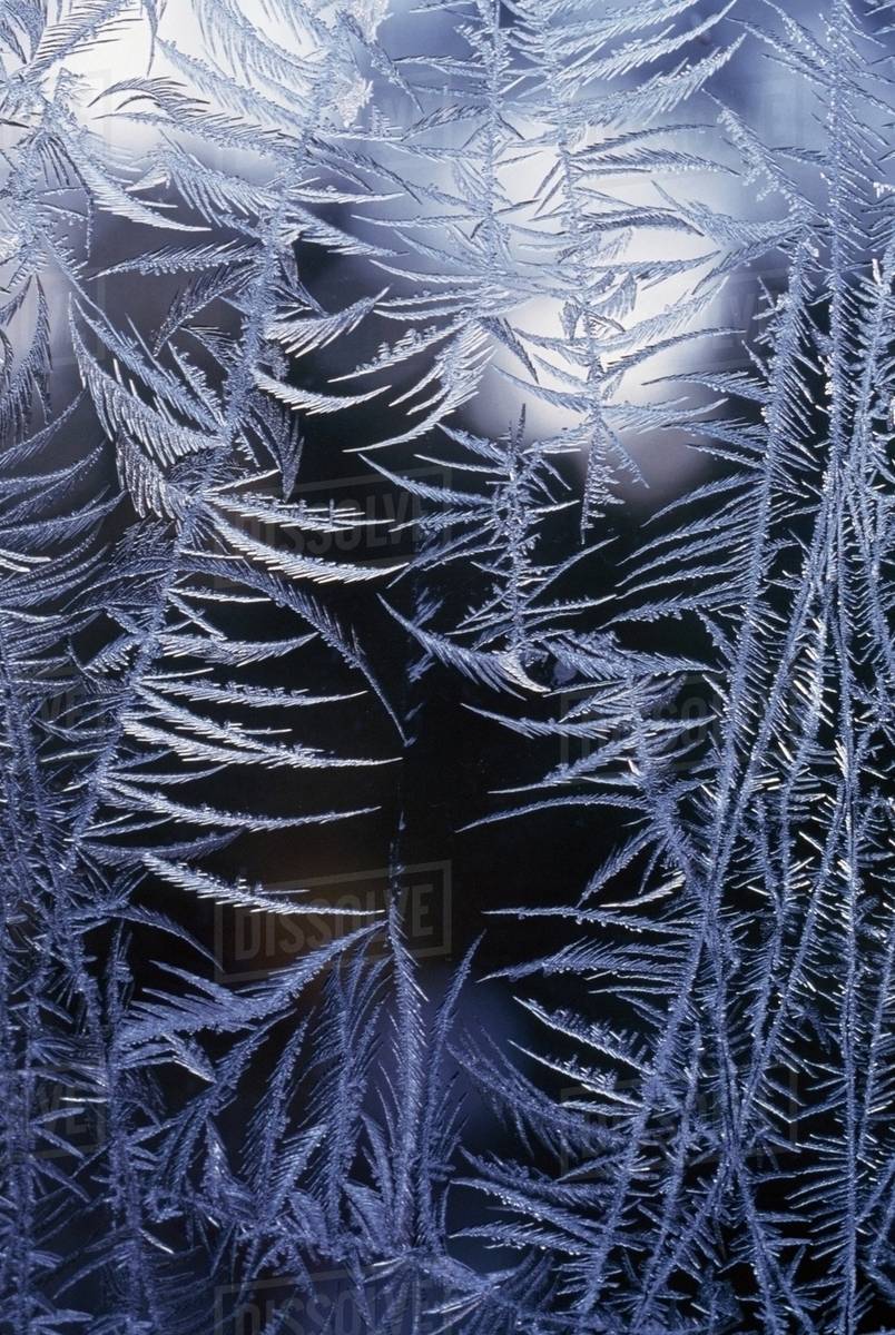 Frost On Window - Stock Photo - Dissolve