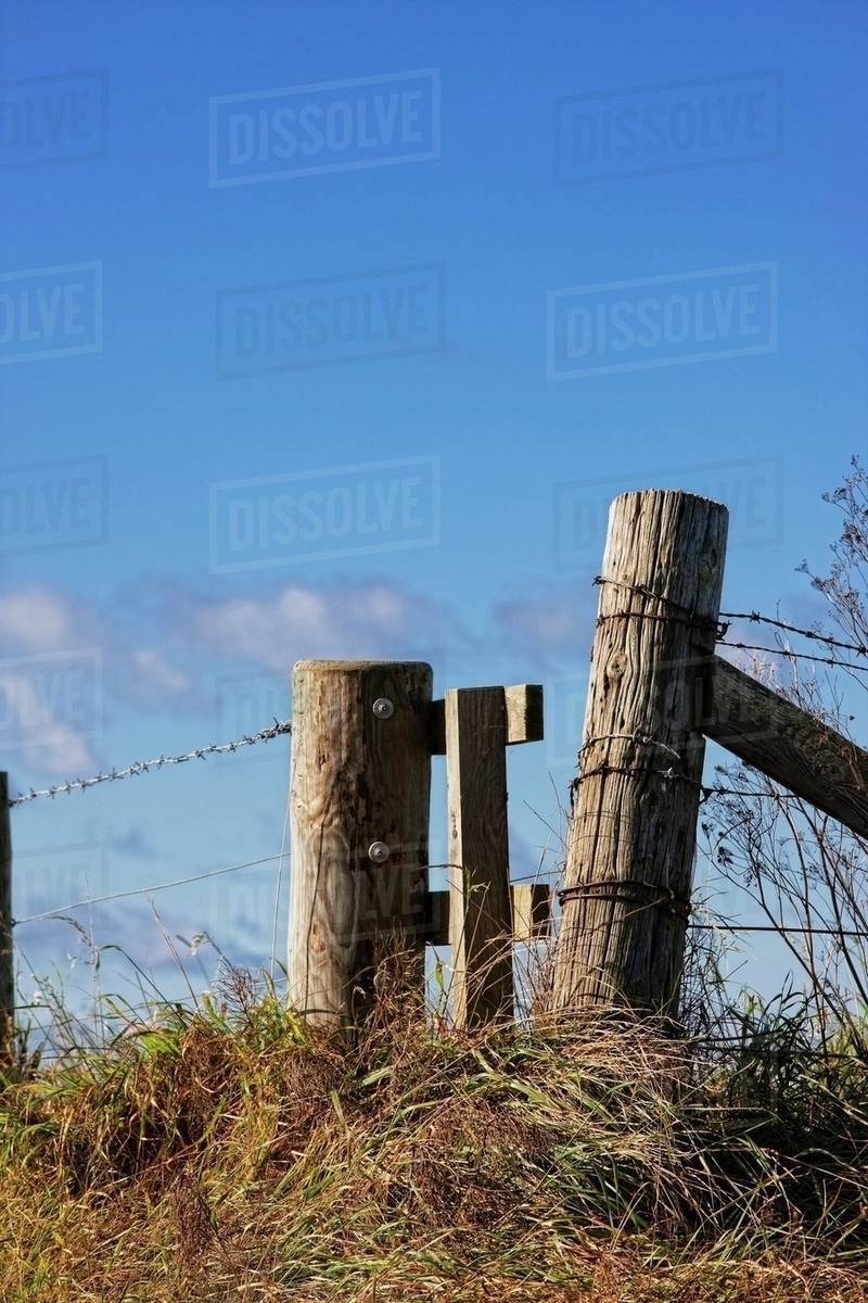 Rustic Barbed Wire Fence; Ireland - Stock Photo - Dissolve