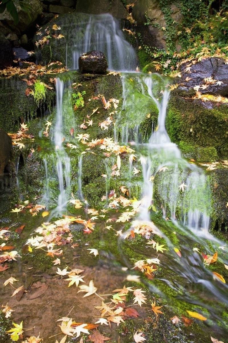Water Flowing Down Rocks - Stock Photo - Dissolve