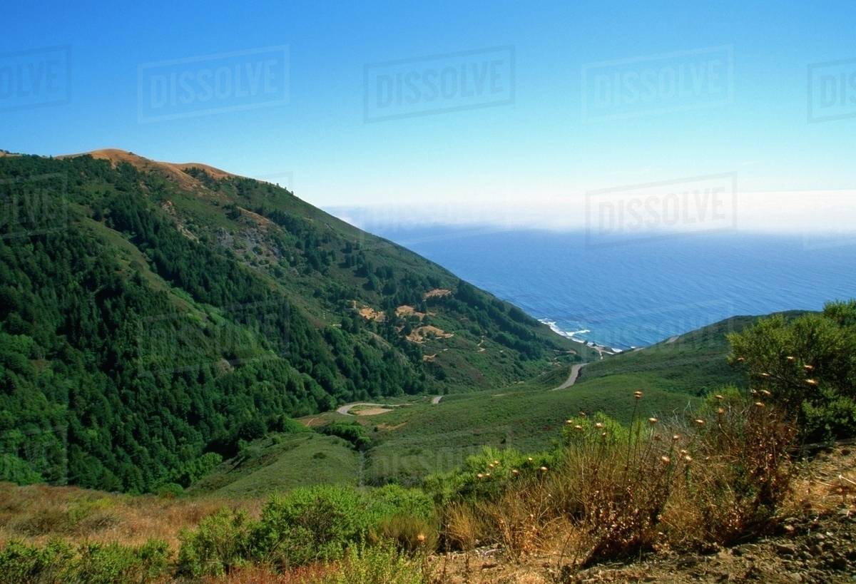 Hillside With The Ocean In The Distance - Royalty-free Stock Photo ...