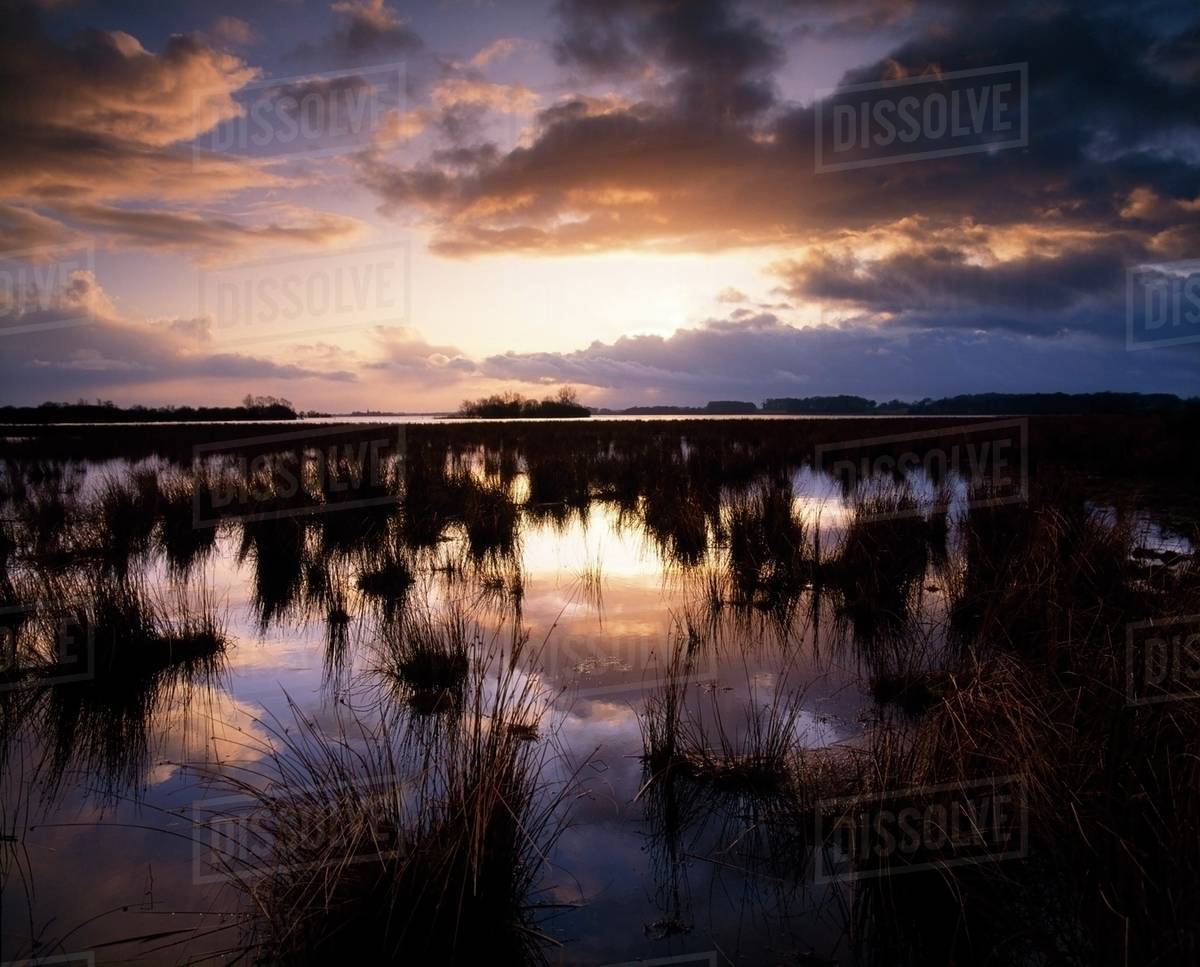 Co Antrim, Lough Beg, Near Toomebridge, Ireland - Royalty-free Stock ...