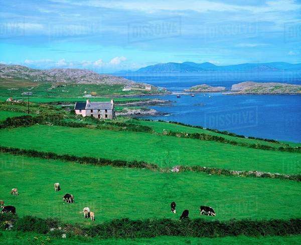 Beara Peninsula, County Cork, Ireland - Royalty-free Stock Photo | Dissolve