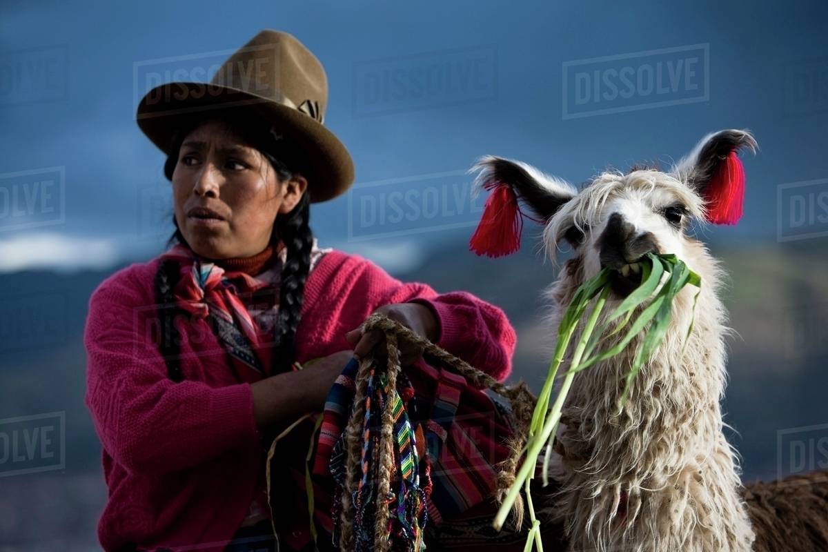 Peruvian Woman In Traditional Clothing With Llama In Cuzco, Peru ...