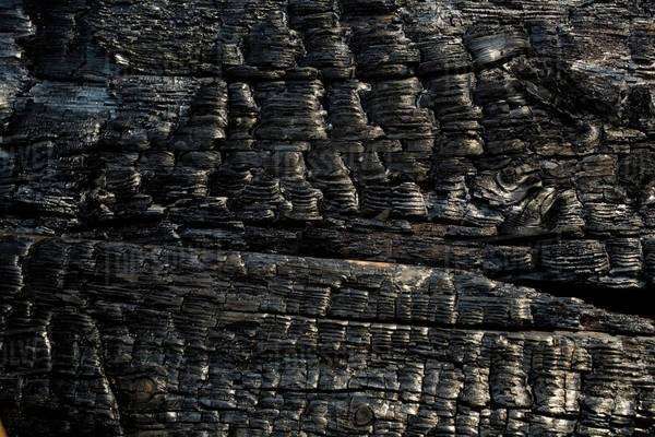 Close-Up Of Charred Wood - Stock Photo - Dissolve