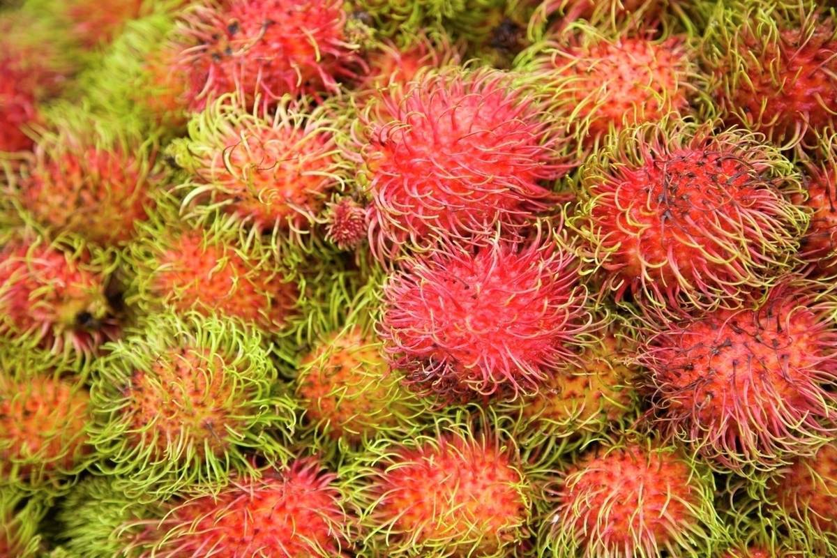 Rambutan, Central Market, Kuala Lumpur, Malaysia - Royalty-free Stock ...