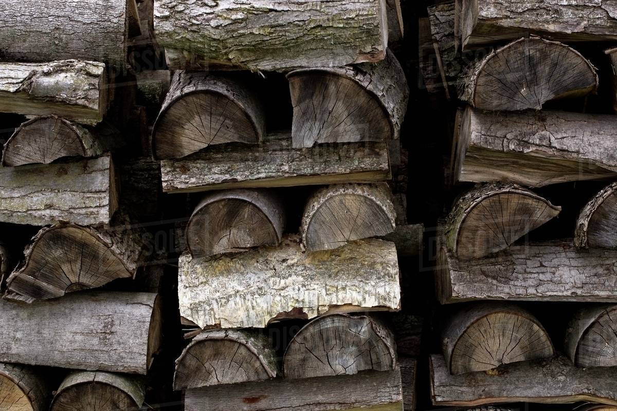 Stacked Logs - Royalty-free Stock Photo | Dissolve