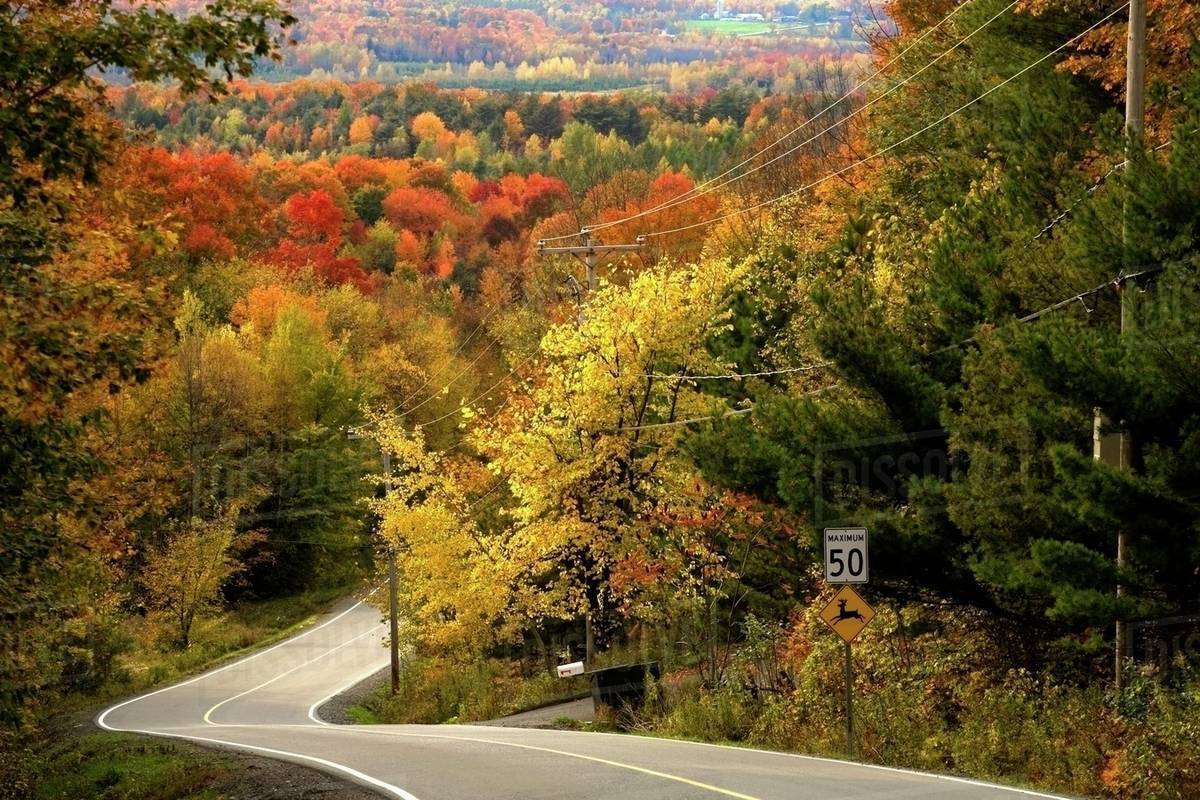 Rural Road, Quebec, Canada - Royalty-free Stock Photo | Dissolve