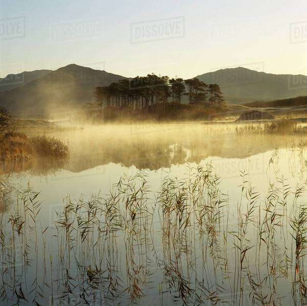 Mist Rising Off A Lake; Dublin City, Dublin, Ireland - Royalty-free ...
