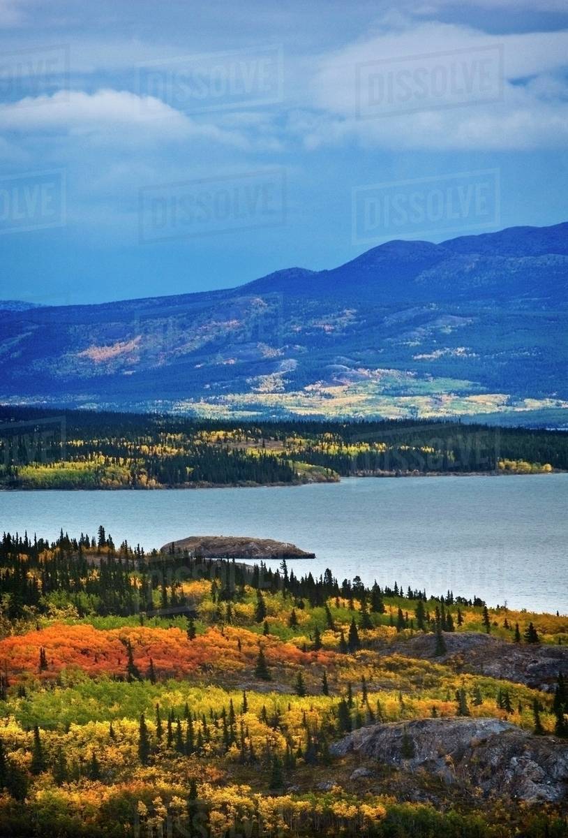 Yukon Territory, Canada - Stock Photo - Dissolve