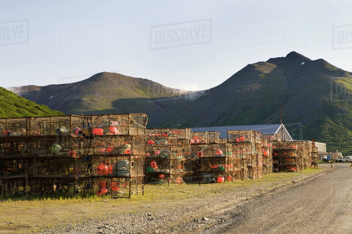 Commercial Crab Fishing Pots Stored At The Port Of King Cove In ...
