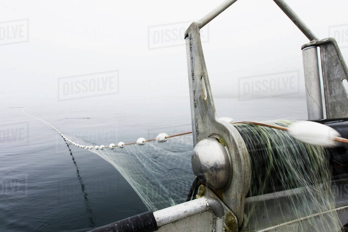 Setting The Gillnet For Salmon Fishing; Alaska, United States Of ...