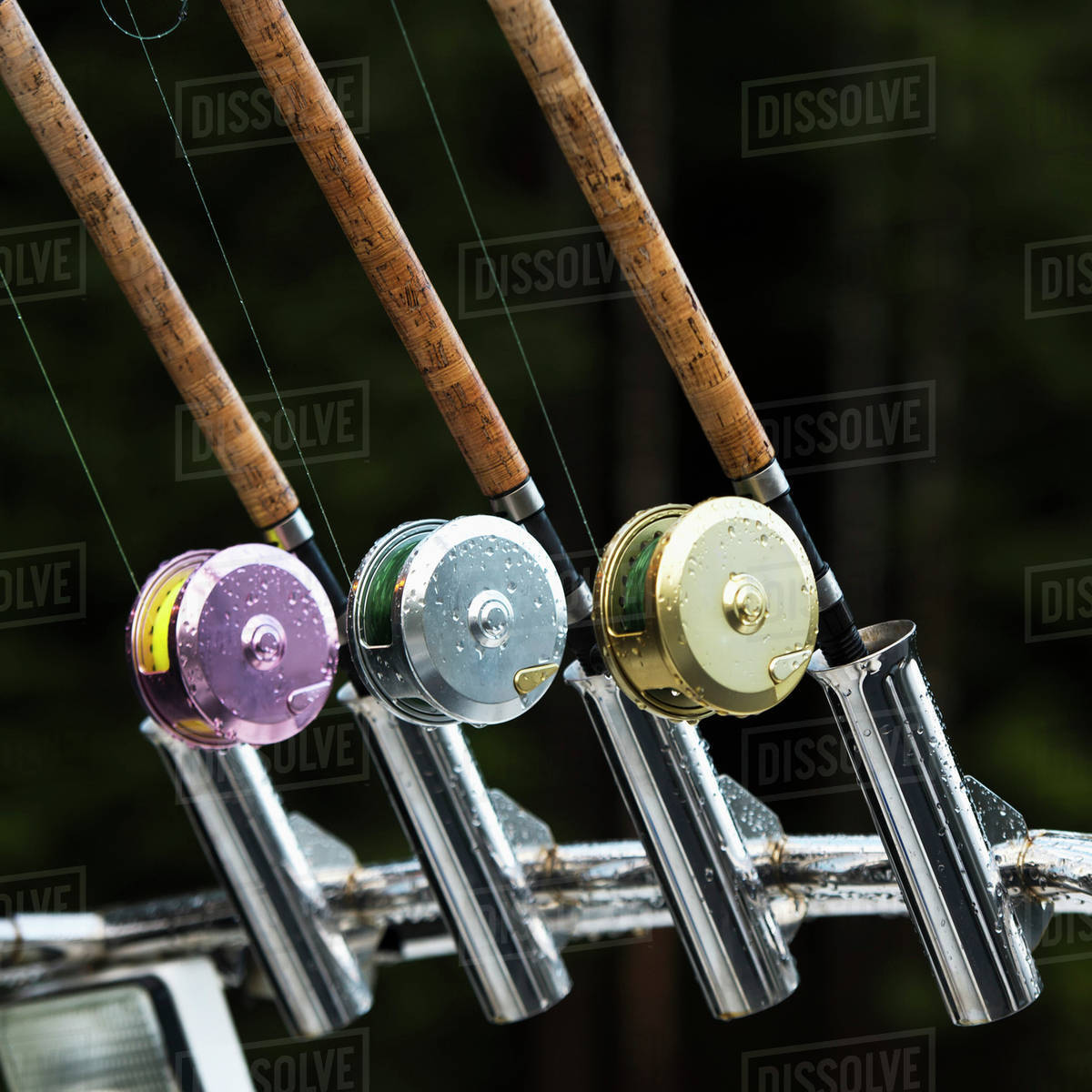 Three fishing rods with different coloured spools; Skeena-Queen ...