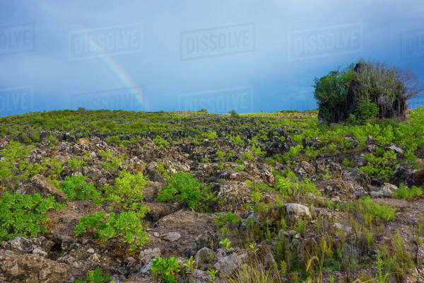 Rugged interior of Nauru Island with a rainbow in storm clouds; Nauru ...