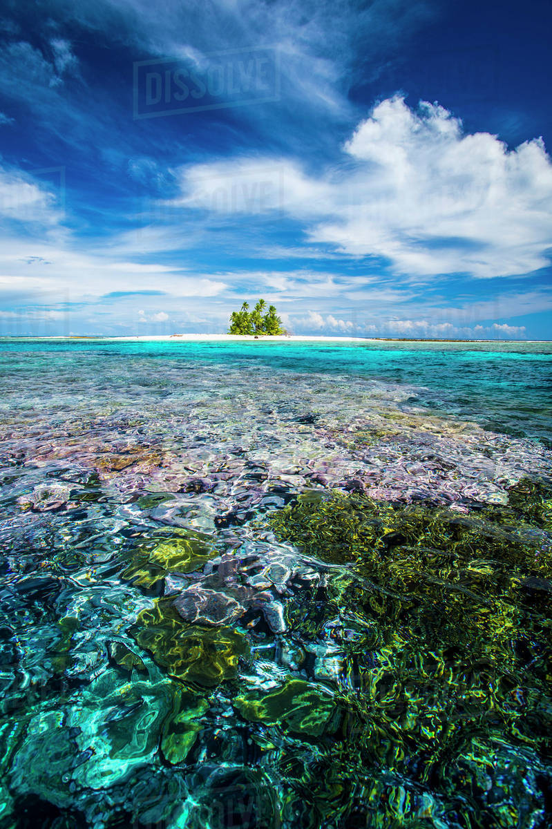 An island that forms part of the marine park, near the Tuvalu mainland ...