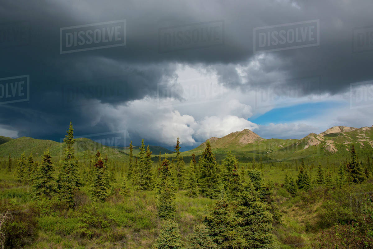 Storm approaches in Denali National park, Interior Alaska, Spring ...