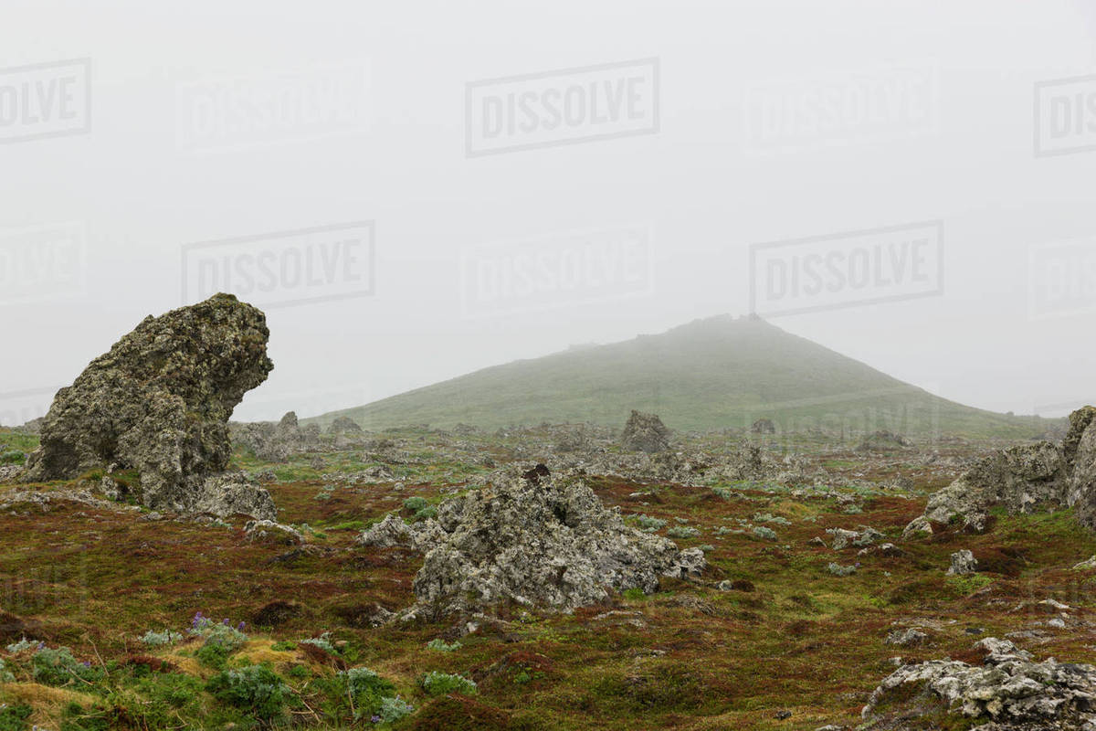 Weathered rock formations on the tundra on a foggy overcast day, St ...