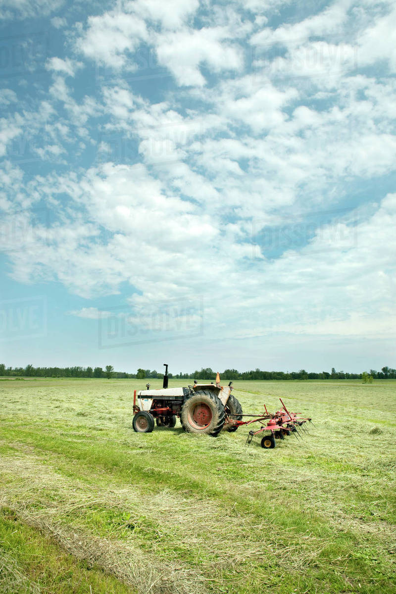 A farm tractor with a harrow in a cut hay field; Quebec, Canada ...