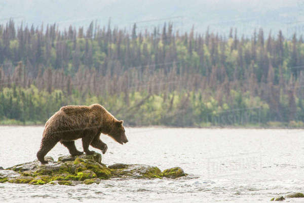 Bear Point Wharf; Bear Point, Nova Scotia, Canada - Stock Photo - Dissolve