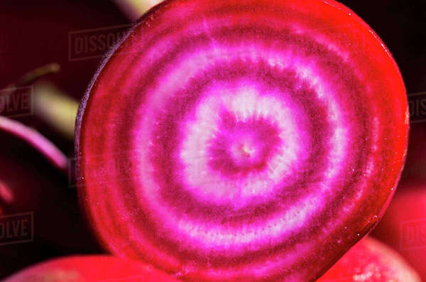 Close Up Of A Cross Section Of Red And White Striped Beet; Calgary ...