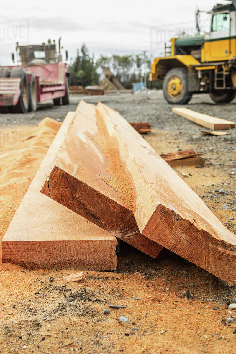 A stack of freshly cut cedar plank lumber sits in a pile of sawdust at ...