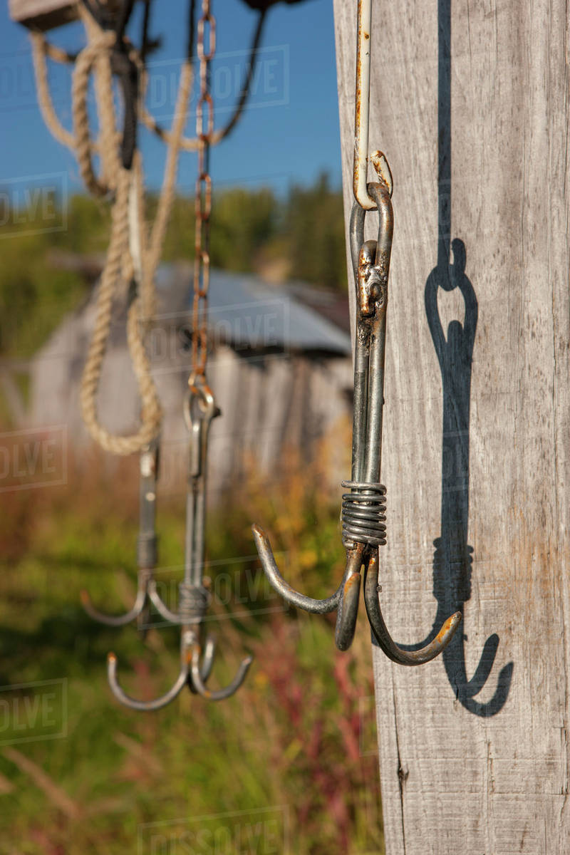 Close up of fishing hooks hanging from a drying shet, Shungnak, Arctic ...