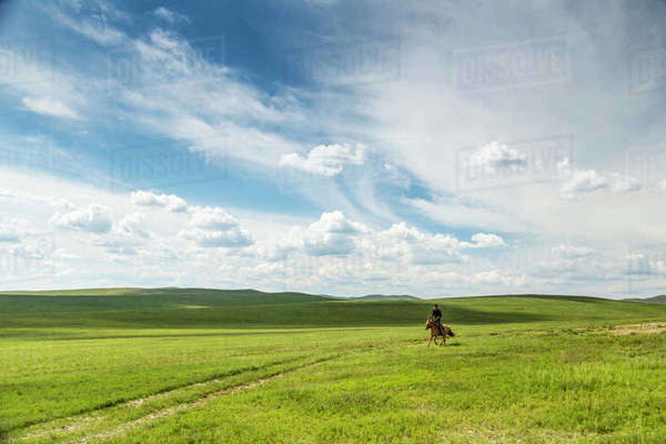 A horse and rider on the wide open grass fields; Ulaanbattar ...