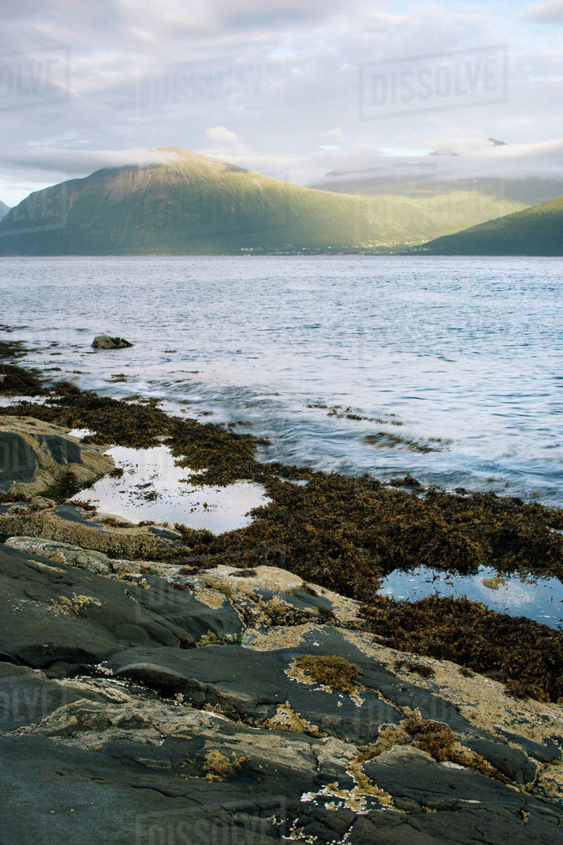 Beautiful riverside view - Stock Photo - Dissolve