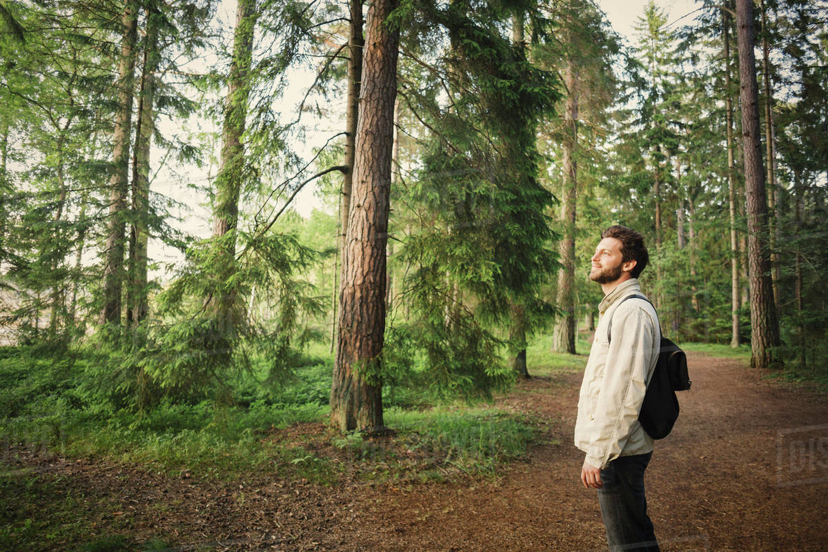 Side view of man looking away while standing in forest - Royalty-free ...