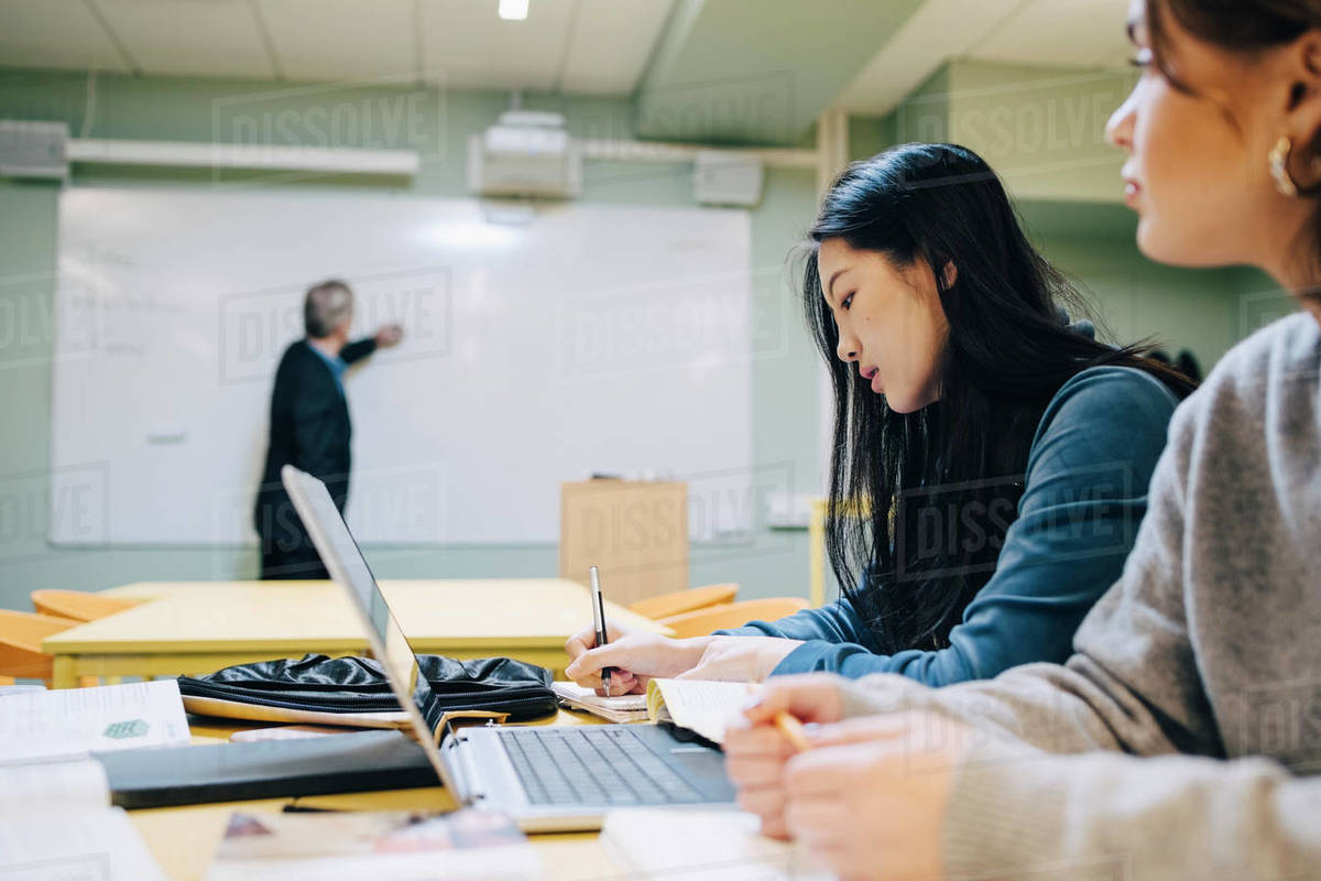 Female students during lesson in classroom - Royalty-free Stock Photo ...