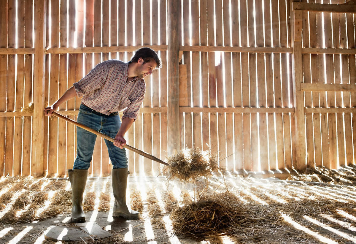 Man moving hay - Royalty-free Stock Photo | Dissolve
