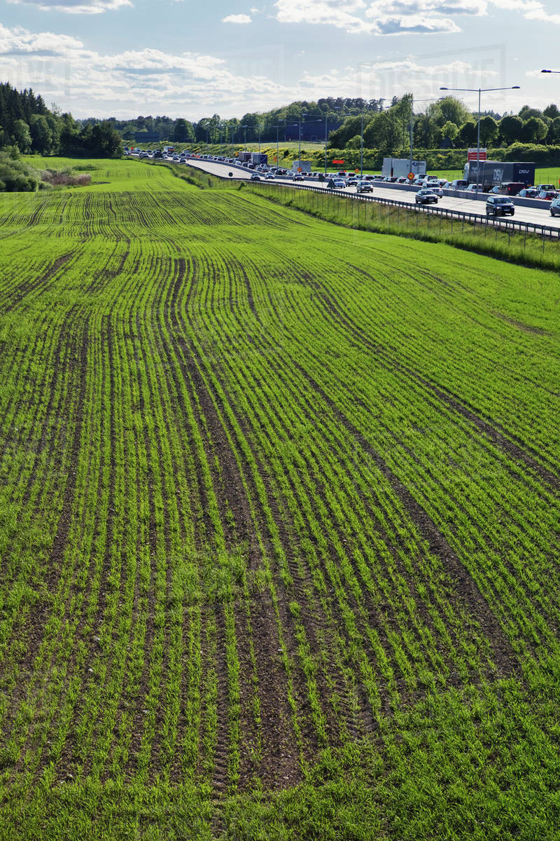 Green field next to motorway - Royalty-free Stock Photo | Dissolve