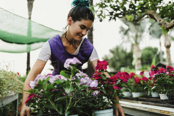 Female owner carrying flowering plants at nursery - Royalty-free Stock ...